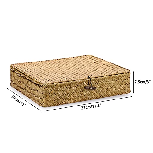 BTSKY 1 Pack Large Wicker Basket With Lid Flat Woven Storage Bins for Shelf Organizing Natural Seagrass Storage Baskets with Lids Home Utility Organizer Box for Home & Office Supplies, Caramel