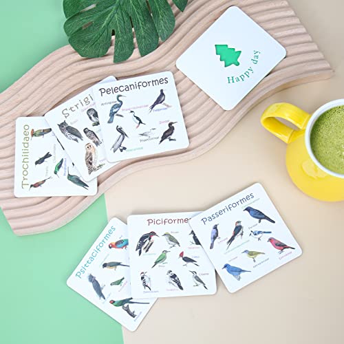 Bird Coasters, 6PCS Bird Coasters with Gift Card, Handmade Coasters for Drinks, Square Wooden Coaster Set for Bird Lovers Friends Home Kitchen Decor Bar Housewarming Gift (Birds)