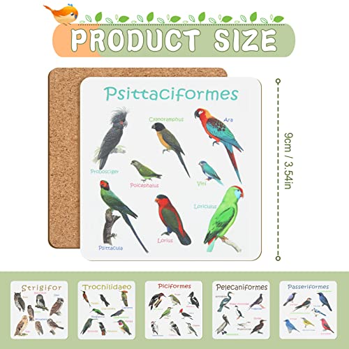 Bird Coasters, 6PCS Bird Coasters with Gift Card, Handmade Coasters for Drinks, Square Wooden Coaster Set for Bird Lovers Friends Home Kitchen Decor Bar Housewarming Gift (Birds)