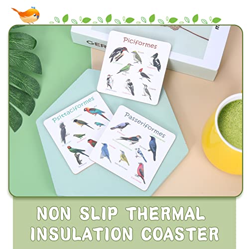 Bird Coasters, 6PCS Bird Coasters with Gift Card, Handmade Coasters for Drinks, Square Wooden Coaster Set for Bird Lovers Friends Home Kitchen Decor Bar Housewarming Gift (Birds)