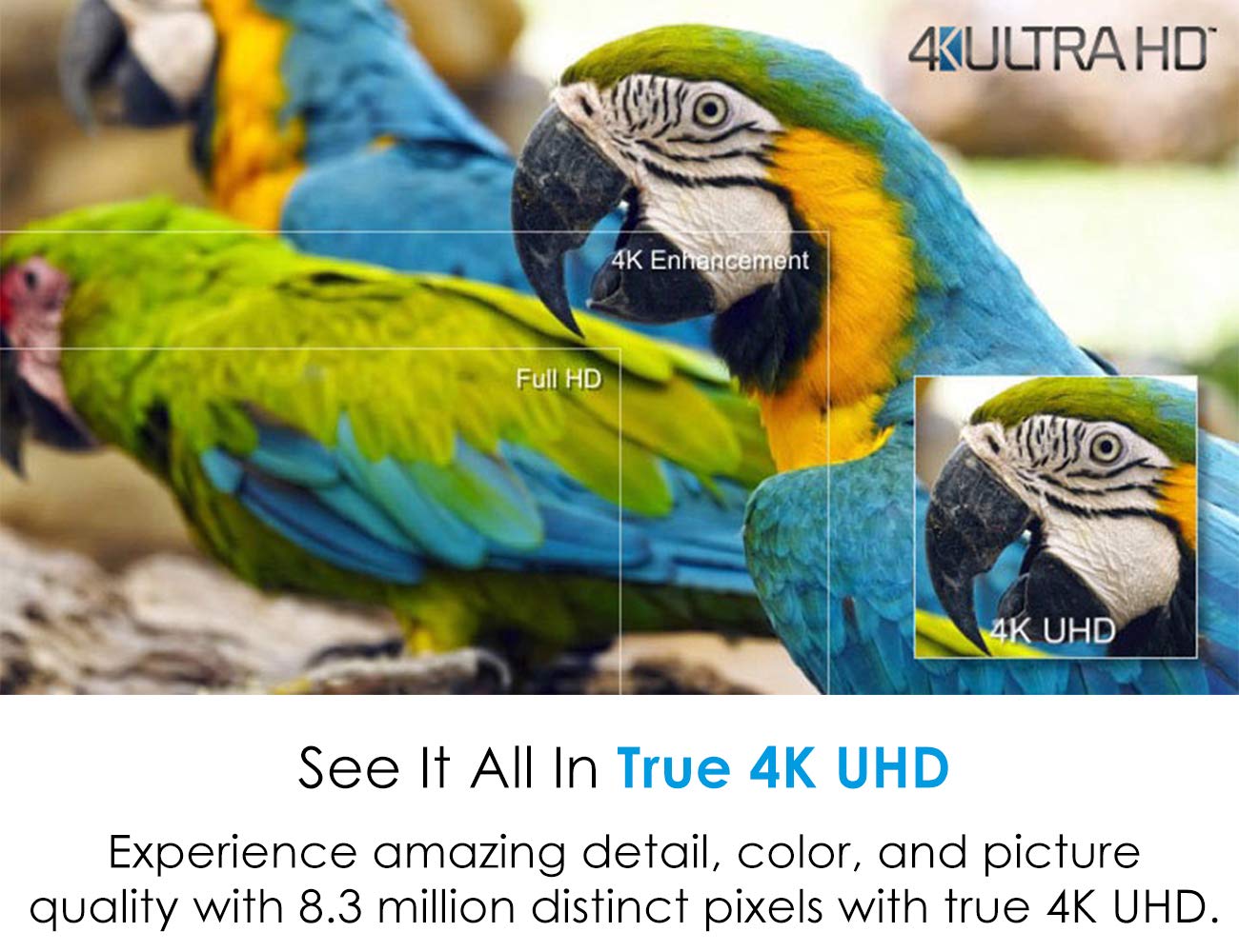 Optoma UHD30 True 4K UHD Gaming Projector | 16ms Response Time with Enhanced Gaming Mode | Lowest Input Lag on 4K Projector | 240Hz Refresh Rate | HDR10 & HLG
