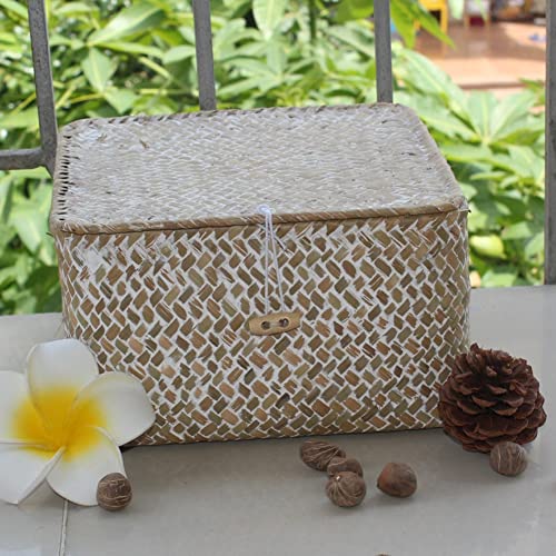 HAPYFURN Shelf Storage Boxes with Lid, Set of 2 Stackable Square Baskets for Shelves, Natural Seagrass Handwoven, Organizer Box of Cosmetics Keys Jewelry Needles Threads