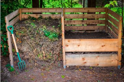 HomeGrownWorms - 250+ (1/4LB) Live Red Wiggler Composting Worms - Live Delivery - Vermicomposting Garden Red Wrigglers - Eisenia Fetida - Wiggle Worm Farm