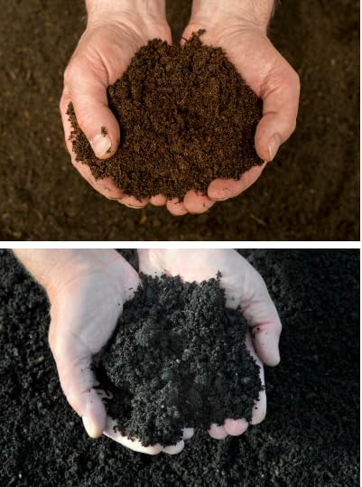 HomeGrownWorms - 250+ (1/4LB) Live Red Wiggler Composting Worms - Live Delivery - Vermicomposting Garden Red Wrigglers - Eisenia Fetida - Wiggle Worm Farm