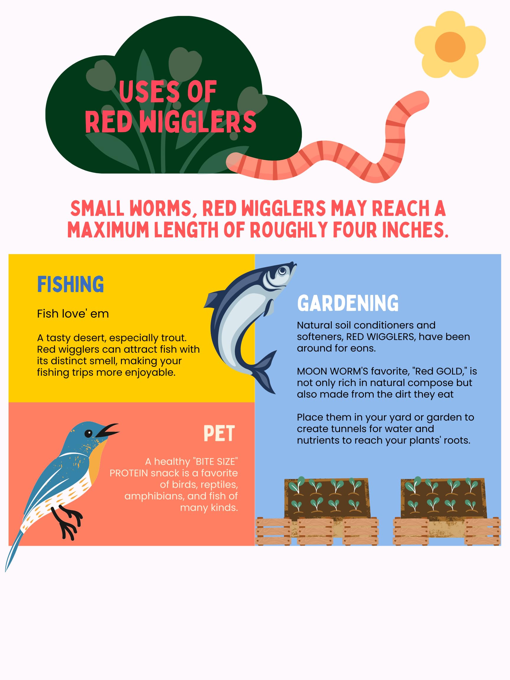 500+ Live Red Wigglers Composting Worms, Composting Bins