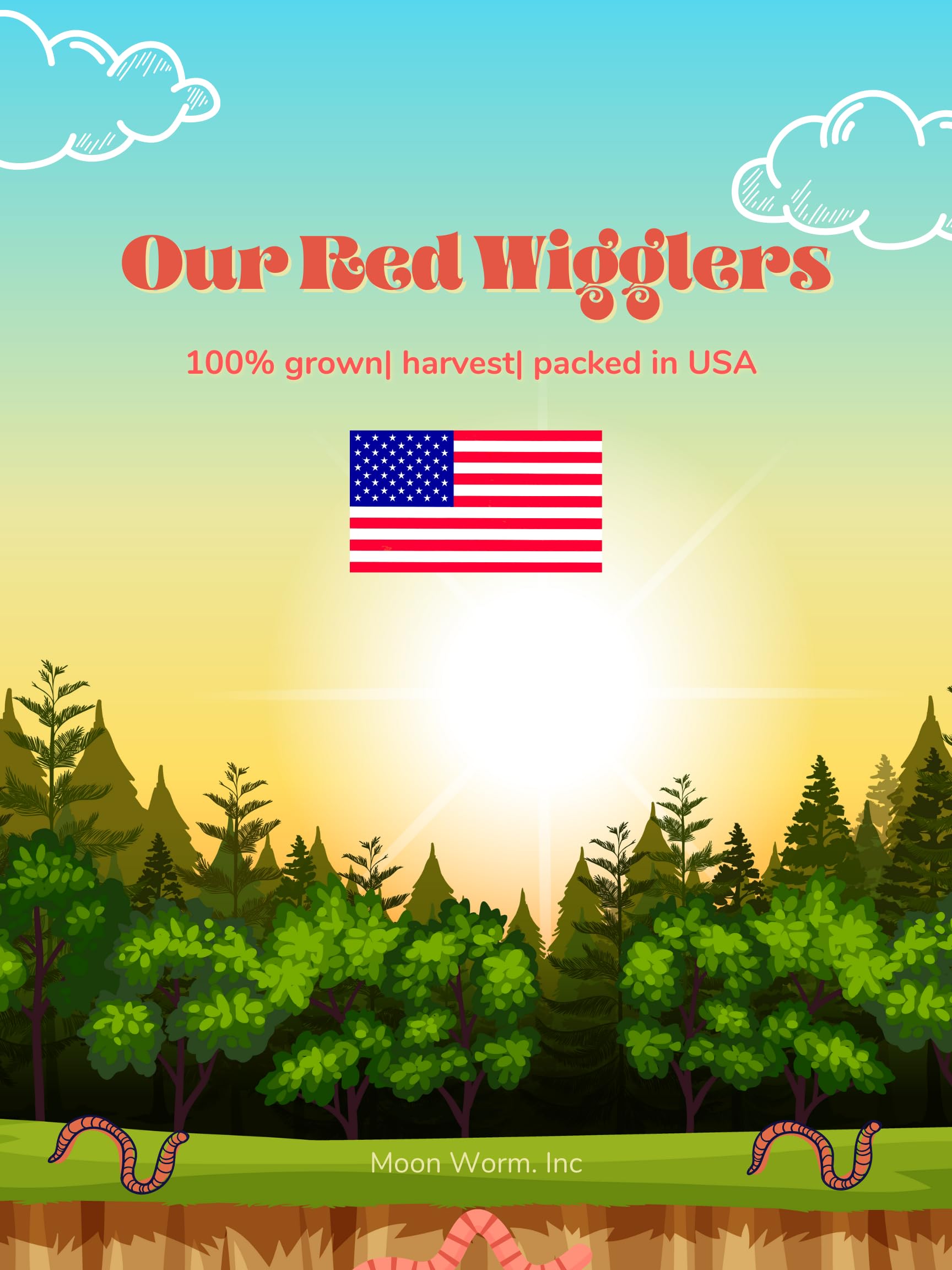 500+ Live Red Wigglers Composting Worms, Composting Bins