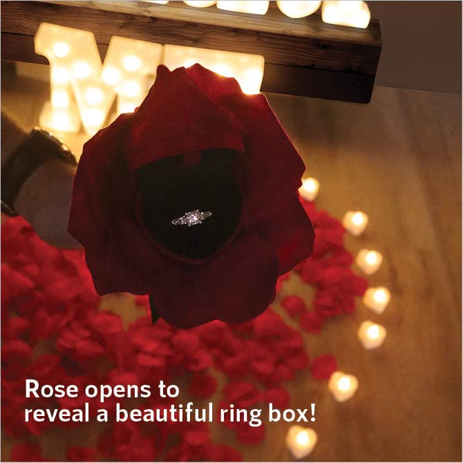 Proposal Decorations Kit, Marry Me Light Up Letters, 2000 Rose Petals, 24 Heart Shaped Romantic Candles, Red Carpet Aisle Runner 16 Feet, 10 Red Heart Balloons, 1 Engagement Rose Ring Box