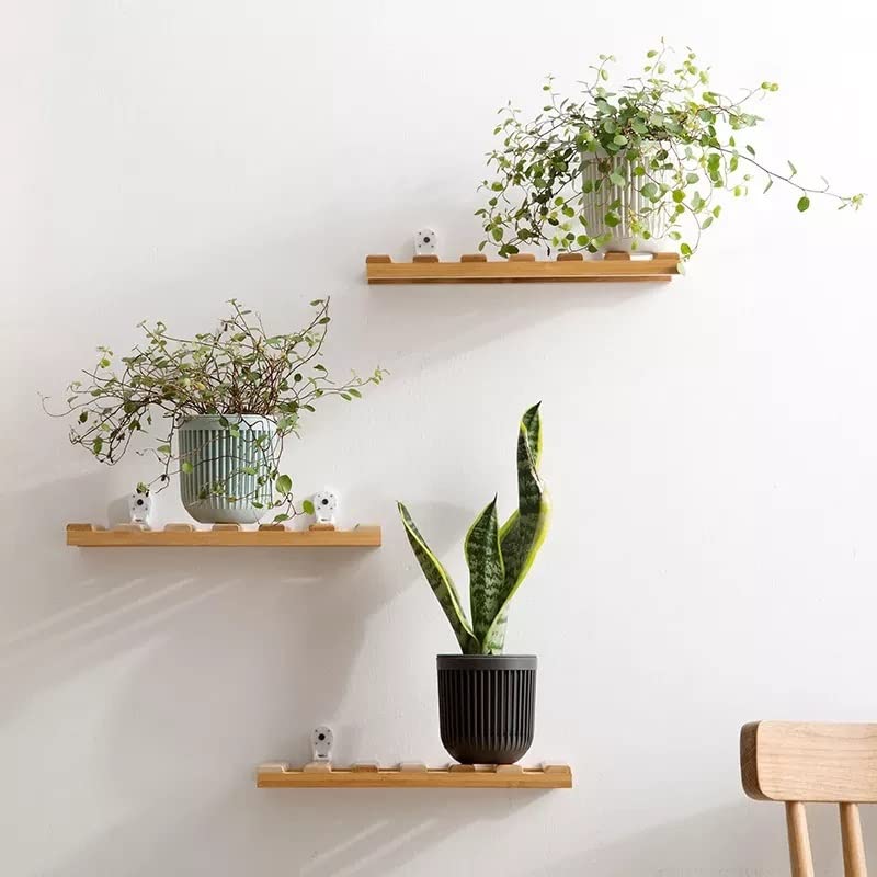 PDGJG Living Room Decoration Frame Wall Hanging Flower Stand Bedroom Wall Partition Potted Plant Shelf