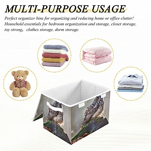 Kigai Storage Basket Cute Owl Storage Boxes with Lids and Handle, Large Storage Cube Bin Collapsible for Shelves Closet Bedroom Living Room, 16.5x12.6x11.8 In