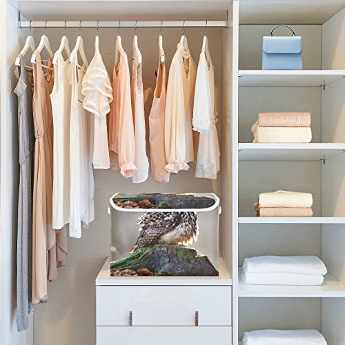 Kigai Storage Basket Cute Owl Storage Boxes with Lids and Handle, Large Storage Cube Bin Collapsible for Shelves Closet Bedroom Living Room, 16.5x12.6x11.8 In