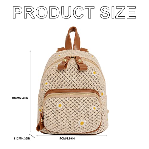 OWGSEE Summer Trendy Handmade Woven Crochet Straw Backpack Boho Backpack Purse for Women Vacation (Beige)