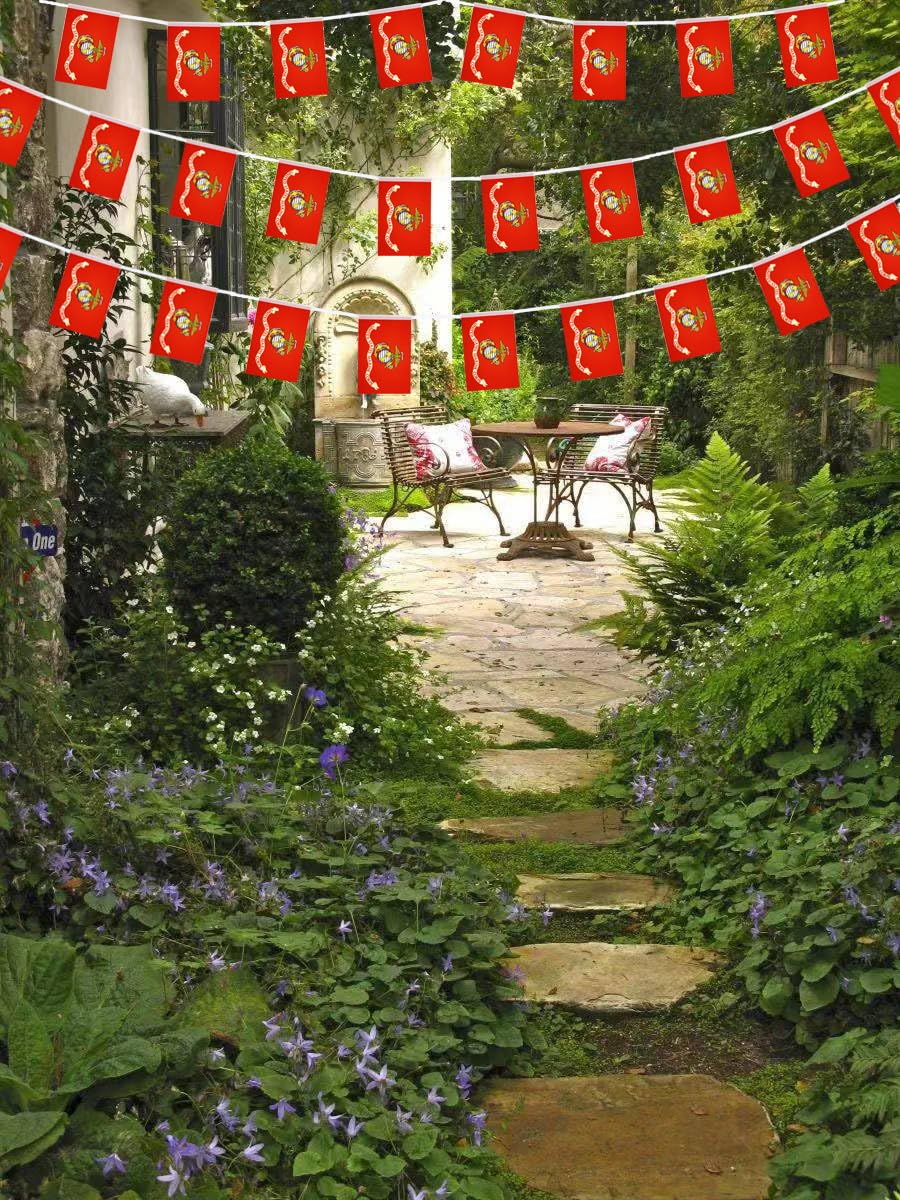 FWIW 2 Pack USA Marine Corps Banner String Small Mini American Military Pennant Flags July 4th Veteran Party Memorial Day Party Outdoor Yard Decorations