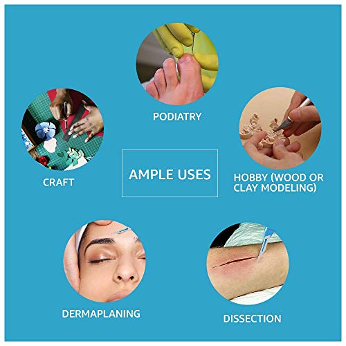 MedBlades 10 Sterile Disposable Scalpels for Craft, Dermaplaining, Dermatology, Laboratory, Biology, Dissection, Surgical, Dental, Veterinary & More (#15)