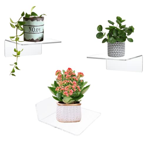 Acrylic Small Adhesive Wall Shelves, 3-Ledges Small Floating Shelf, 4-Inch Floating Shelves Pop Shelves Hanging Display 1256 0