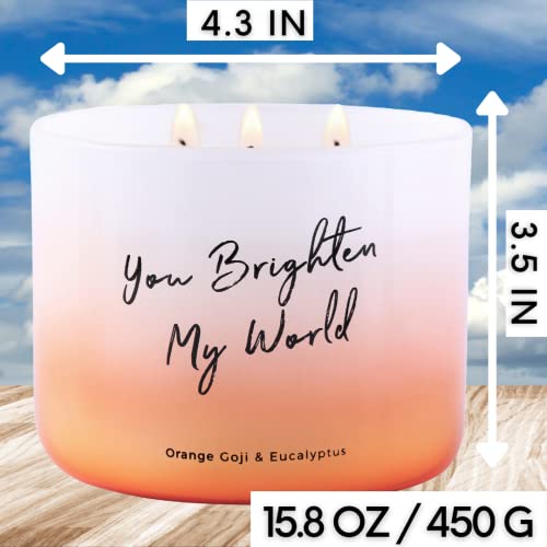 Orange Goji Eucalyptus Scented Candle 3 Wick | Aromatherapy Stress Relief Eucalyptus Energy Candle | Highly Scented Soy Candles Clean Burn 15.8 oz | You Brighten My World Candle Gifts for Men & Women