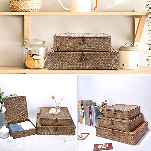 Hipiwe Flat Wicker Basket Bins with Lid - Set of 3 Handwoven Seagrass Storage Basket Shelf Baskets Boxes Multipurpose Home Organizer Bins Boxes for Shelf Pantry Closet,Large Size 14.8"x13"