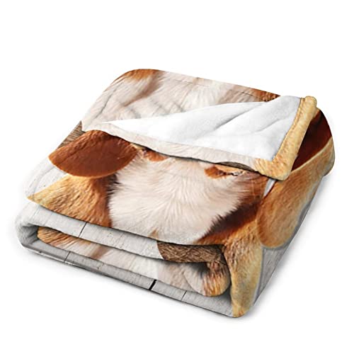 Artsadd Personalized Dog Memorial Blanket with Dog Pictures & Name Custom Pet Memorial Blanket Dog Remembrance Customized Bed Throw Blanket Sympathy Remembrance Made in USA