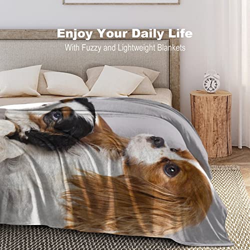 Cavalier King Charles Spaniel, Fleece Blanket Ultra-Soft Cozy Plush Blanket Throw Blankets Couch Chair Living Room Air Conditioning Cool Blankets, 50"*60"