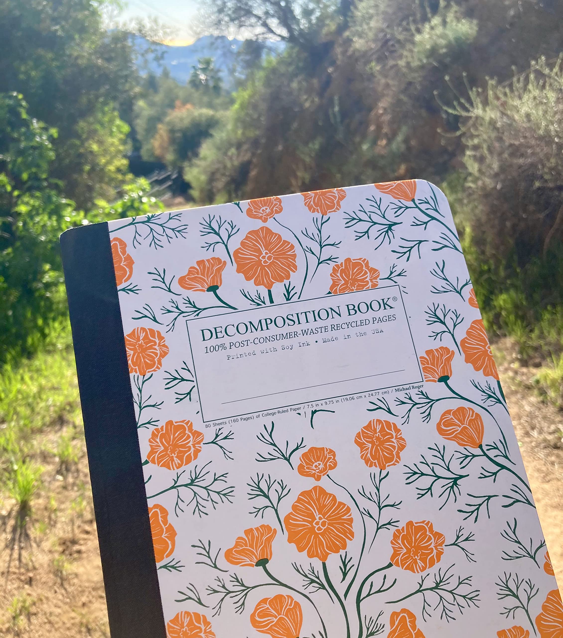Decomposition California Poppies College Ruled Composition Notebook - 9.75 x 7.5 Journal with 160 Lined Pages - Cute Notebooks for School Supplies, Home & Office - 100% Recycled Paper - Made in USA