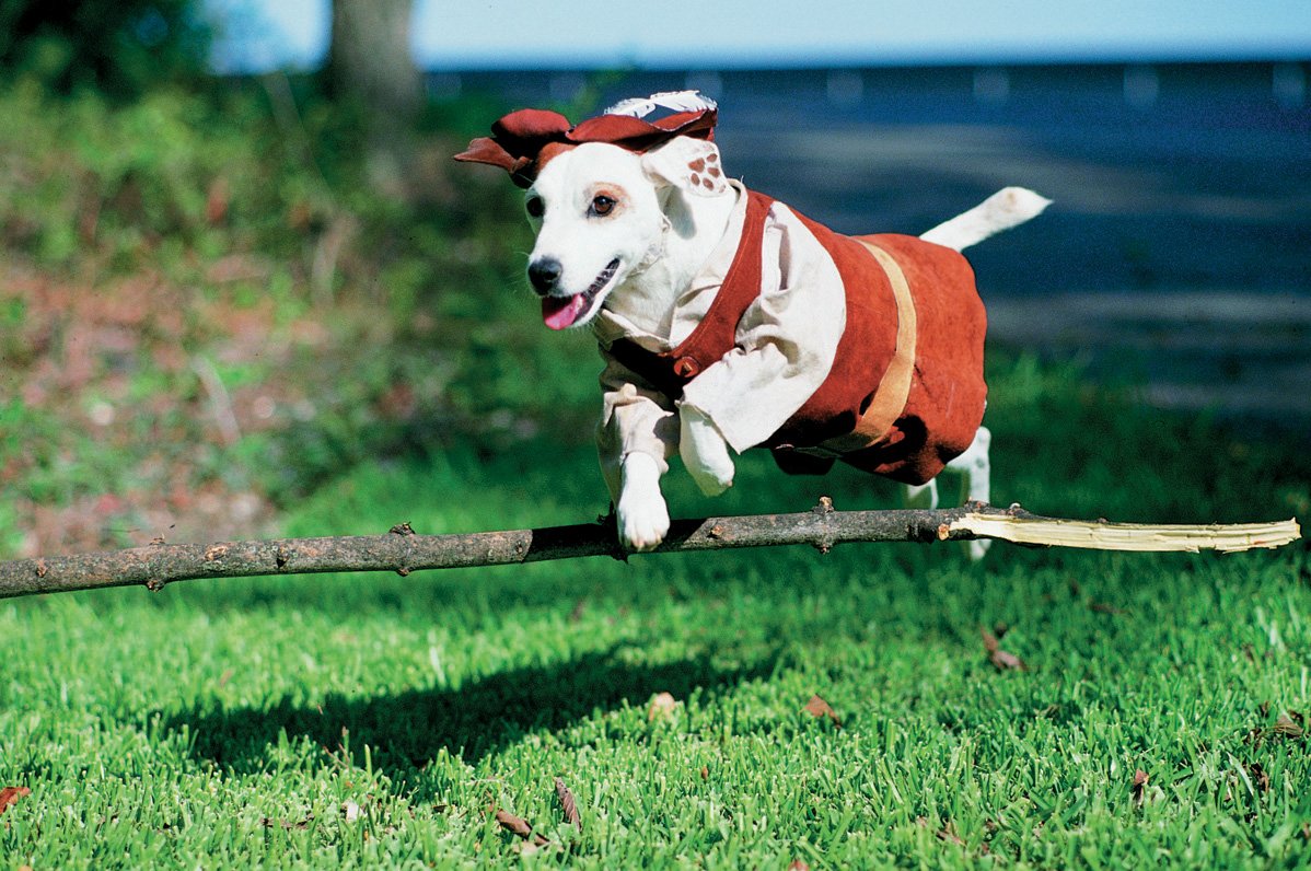 Wishbone