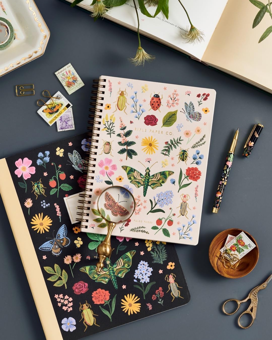 RIFLE PAPER CO. Spiral Notebook | 150 Ruled Pages, Inner Storage Pocket Folders, Double-Spiral Binding, Metallic Gold Foil Accents (8.25" L x 6.25" W), Curio