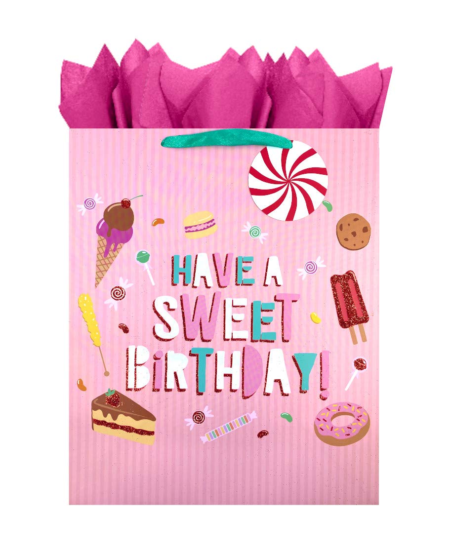 Blue House Group Premium Birthday Gift Bags + Tissue Paper (4 Large Bags + Tissue, Birthday Girl)