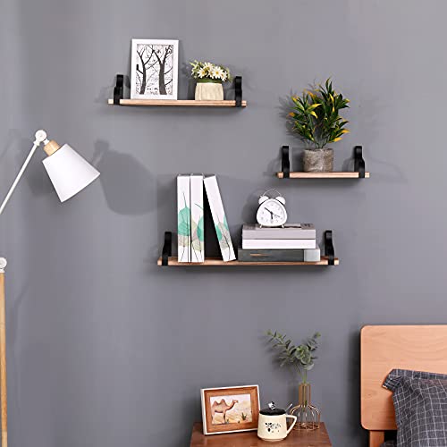 Hybition Floating Shelves, Set of 3 Rustic Wood Shelves, Wall Mounted Shelf for Wall, Bedroom, Living Room, Bathroom and Plants (Carbonized Black)