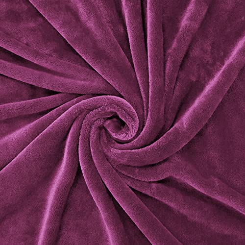 WKBEC Fleece Throw Blankets, Super Soft Flannel Cozy Blankets, Washable Lightweight Fuzzy Blanket for Couch Sofa Bed Office, Throw Size Warm Plush Blankets for All Season (50"x60", Red)