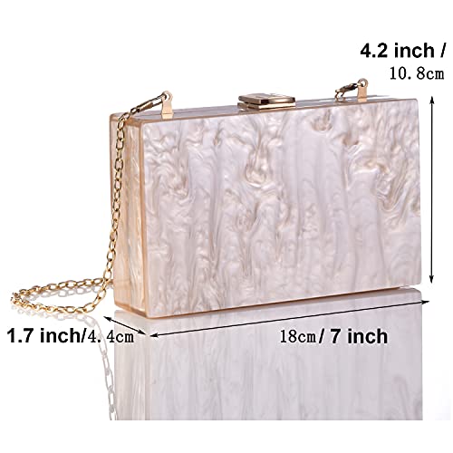 Women Acrylic Clutch Bag for Evening Party Crossbody Shoulder Bag for Special Event with Modern Classic Style Bag (Champagne)