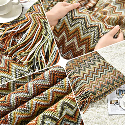 Cozary Woven Throw Blanket Reversible Cotton Bohemian, Tapestry Outdoor Knitted Tassel Blankets,Soft Cozy Lightweight Couch Decorative afghans Throw Blankets, Bed, Sofa,60 * 80 inches