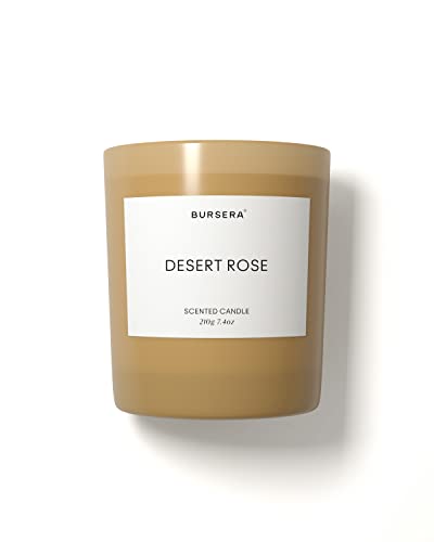 Bursera Scented Candle - Desert Rose, Tree Planted with Every Order, Natural Scented Soy Candle | 7.4oz Single Wick Candle | Slow Burning 45hr Burn Time, Aromatherapy Non Toxic Candles