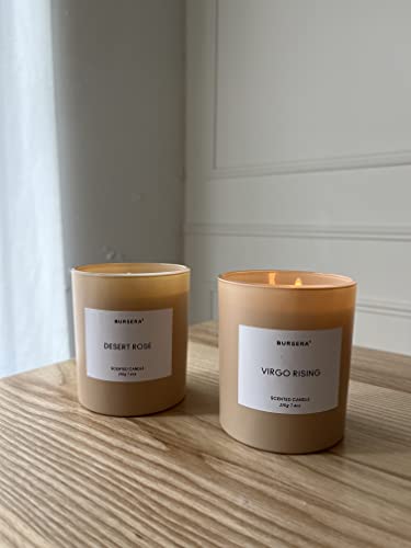 Bursera Scented Candle - Desert Rose, Tree Planted with Every Order, Natural Scented Soy Candle | 7.4oz Single Wick Candle | Slow Burning 45hr Burn Time, Aromatherapy Non Toxic Candles