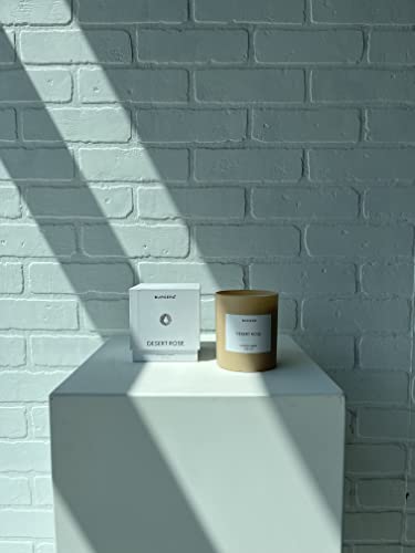 Bursera Scented Candle - Desert Rose, Tree Planted with Every Order, Natural Scented Soy Candle | 7.4oz Single Wick Candle | Slow Burning 45hr Burn Time, Aromatherapy Non Toxic Candles