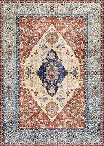 Valenrug Area Rug 5x7 - Stain Resistant Lightweight Washable Rug, Anti-Skid Rugs for Living Room, Boho Persian Area Rug(Multi, 5'x7')