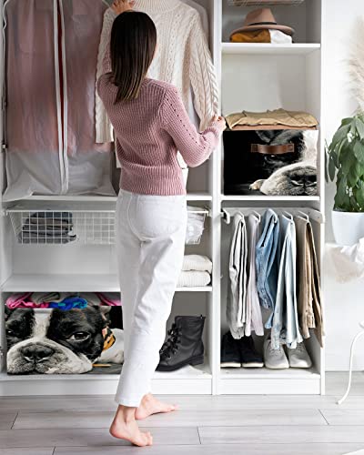 Storage Organizer Bins Set of 1 Storage Baskets for Clothes on Shelves With Handles Lovely French Bulldog Animal Photography Black Rectangular Fabric Laundry Baskets for Organizing