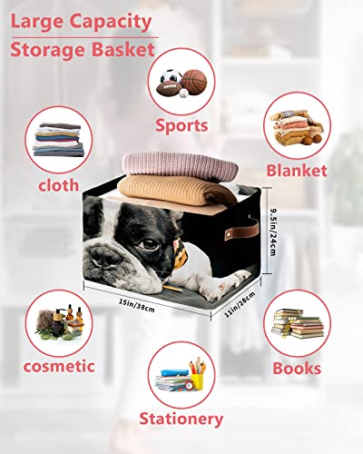 Storage Organizer Bins Set of 1 Storage Baskets for Clothes on Shelves With Handles Lovely French Bulldog Animal Photography Black Rectangular Fabric Laundry Baskets for Organizing