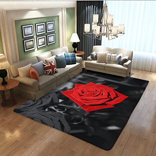 AIDOXY Large Farmhouse Rug Farmhouse Decor, Romantic Rose Black White Red Painting Abstract Mat Area Rug Home Decor Non-Slip Crystal Floor Polyester Mat 19.6x31.5inch