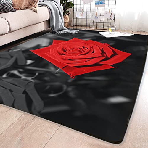 AIDOXY Large Farmhouse Rug Farmhouse Decor, Romantic Rose Black White Red Painting Abstract Mat Area Rug Home Decor Non-Slip Crystal Floor Polyester Mat 19.6x31.5inch