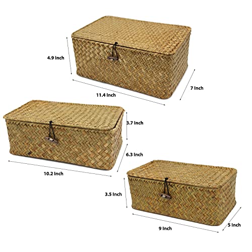 Handwoven Seagrass Storage Bins Box with Lids, Rectangular Wicker Basket Storage Basket, Shelf Baskets Set of 3