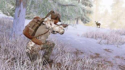 Hunting Simulator (Switch)