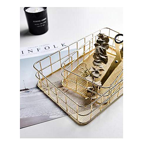 AESGXTU Gold Metal Storage Basket Desktop Iron Grid Simple Snack Storage Tray for Home Decor＆Orderly Storage (Large)