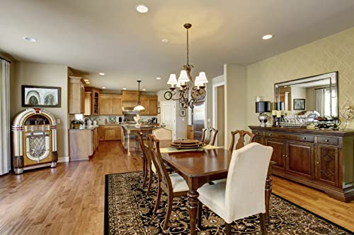 Great American Distributors -Batumi Black Traditional/Transitional Area Rug 5'3" X 7'6"