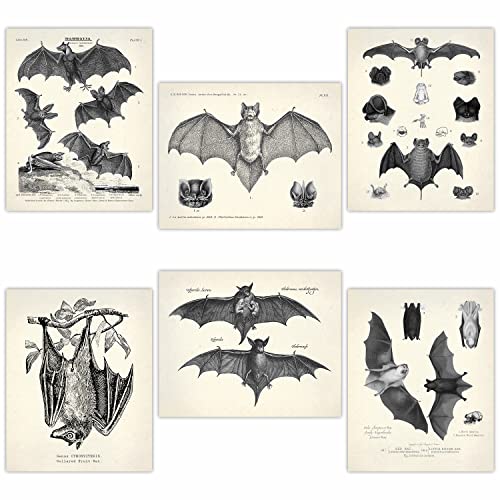 Bats Wall Art Decor - Vintage Retro Hipster Goth Art for Home Room Decoration - Gift for Gothic Horror Vampire Fans - 8x10 UNFRAMED Creepy Scary Dark Academia Picture Poster Print Set