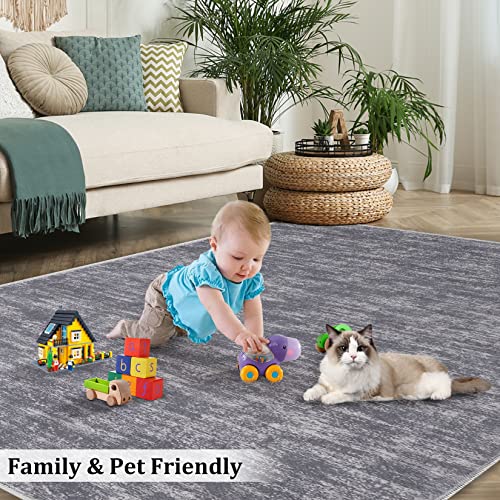 RUGSREAL Small Contemporary Area Rug Modern Solid Indoor Throw Carpe Machine Washable Non-Slip Low-Pile Area Rug for Living Room Bedroom Laundry, 2' x 3' Grey