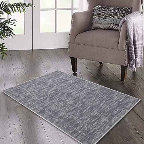 RUGSREAL Small Contemporary Area Rug Modern Solid Indoor Throw Carpe Machine Washable Non-Slip Low-Pile Area Rug for Living Room Bedroom Laundry, 2' x 3' Grey