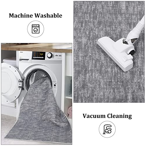 RUGSREAL Small Contemporary Area Rug Modern Solid Indoor Throw Carpe Machine Washable Non-Slip Low-Pile Area Rug for Living Room Bedroom Laundry, 2' x 3' Grey