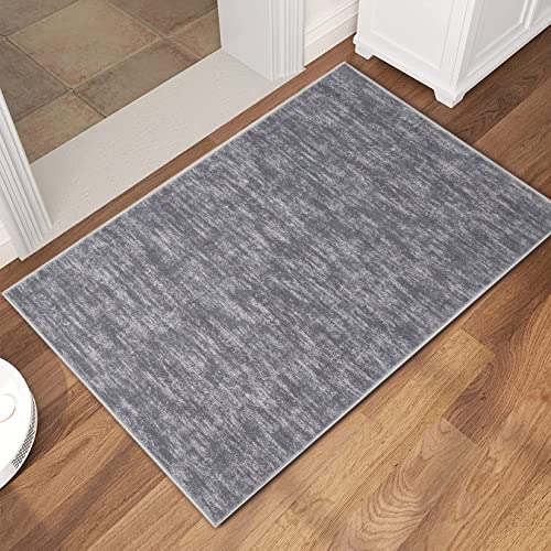 RUGSREAL Small Contemporary Area Rug Modern Solid Indoor Throw Carpe Machine Washable Non-Slip Low-Pile Area Rug for Living Room Bedroom Laundry, 2' x 3' Grey