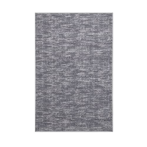 RUGSREAL Small Contemporary Area Rug Modern Solid Indoor Throw Carpe Machine Washable Non-Slip Low-Pile Area Rug for Living Room Bedroom Laundry, 2' x 3' Grey
