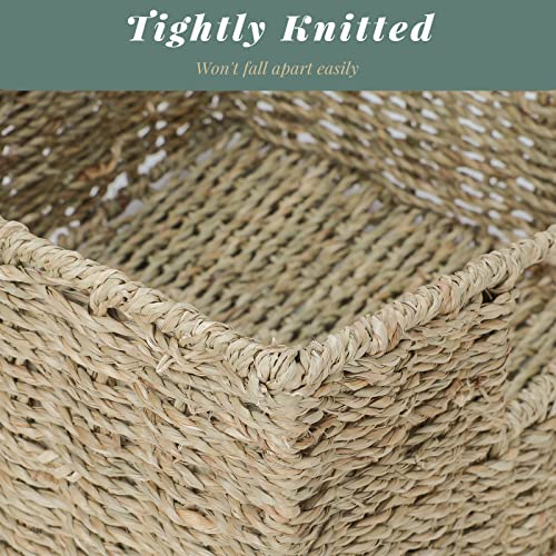 LOVSTORAGE Seagrass Wicker Storage Baskets, Hand-Woven Shelf Baskets with Handles, Nesting Wicker Basket Sets Woven Storage Baskets for Shelves, 3-Pack