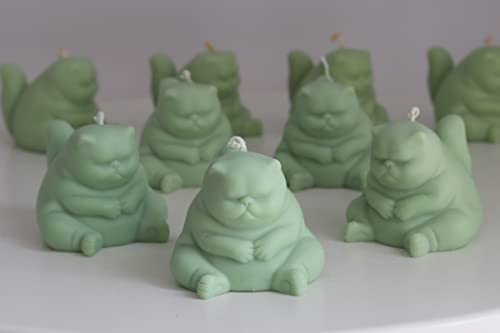 Brighter Sky Grumpy Cat Candle, Natural Premium Soy Wax, French Vanilla, Aesthetic Candles, Gift Ideas, Candle Décor, Gift for Her, Candle Gift, Gift for Friend, Decorative Candles (Green)